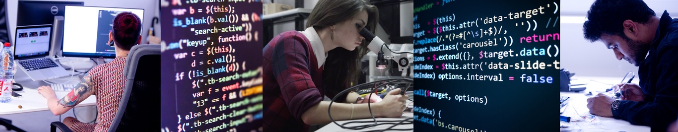 Our Portfolio Companies