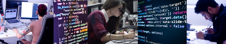 Our Portfolio Companies